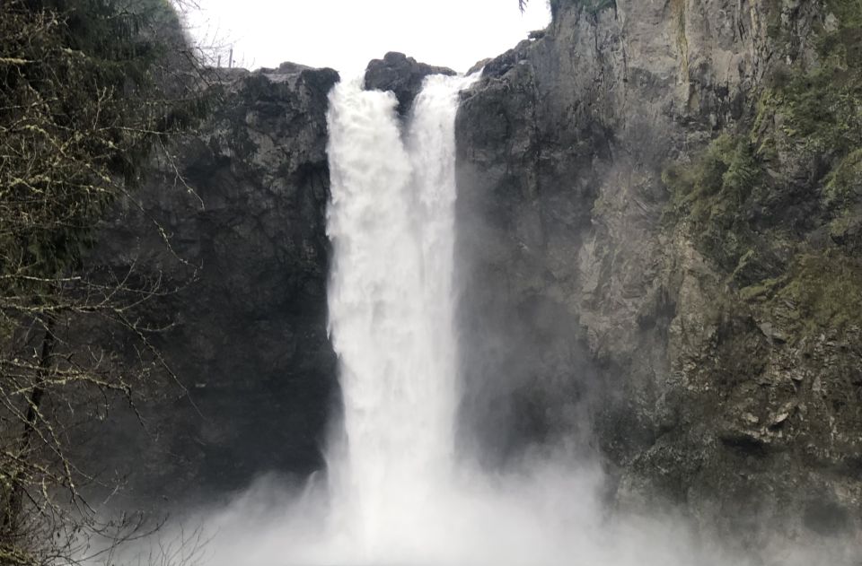 Seattle: Snoqualmie Falls and Twin Falls Guided Tour - Who Would Love This Tour?