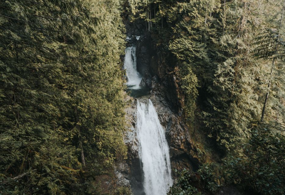 Seattle: Waterfall Wonderland Hike in Wallace Falls Park - Who Will Love This Experience?