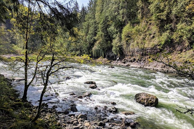 Seattle Wine and Waterfall Luxury Small-Group Day Tour with Lunch - FAQs