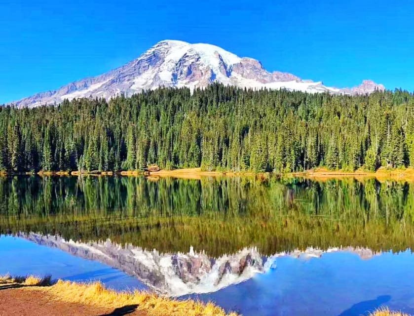 Seattle:Small Group Mount Rainier National Park 1-Day Tour - Value for Money