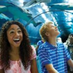SeaWorld Orlando: Park Admission Ticket - What to Expect During Your Visit