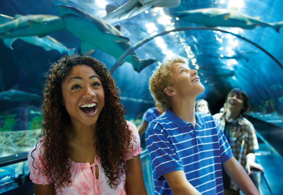 SeaWorld Orlando: Park Admission Ticket - What to Expect During Your Visit