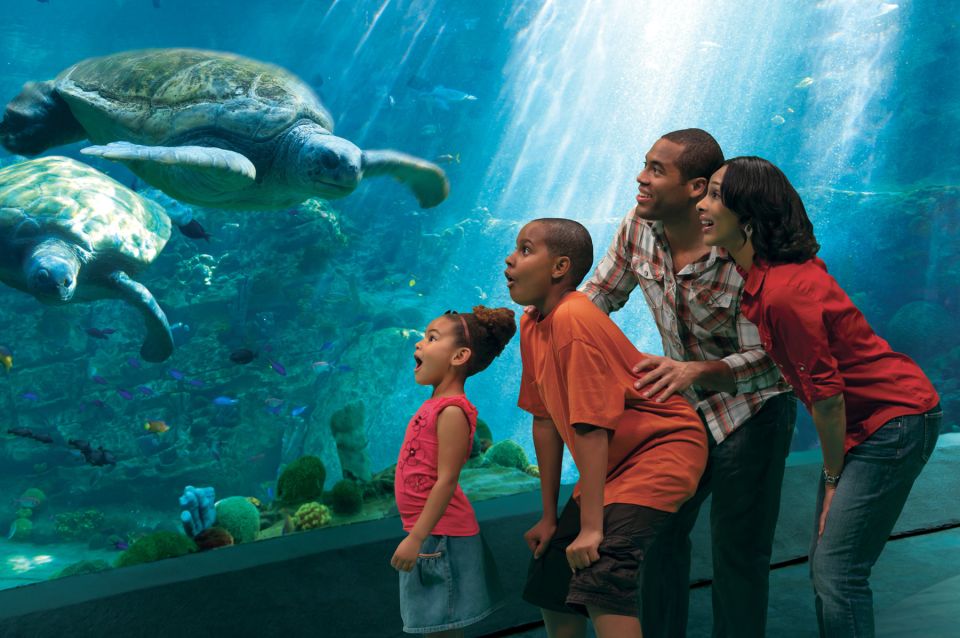 SeaWorld Orlando: Park Admission Ticket - Practical Details: What’s Included and How It Works