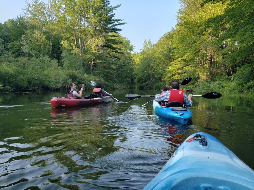 Sebago Lake: Half-Day Kayak Rental - An Overview of the Experience  