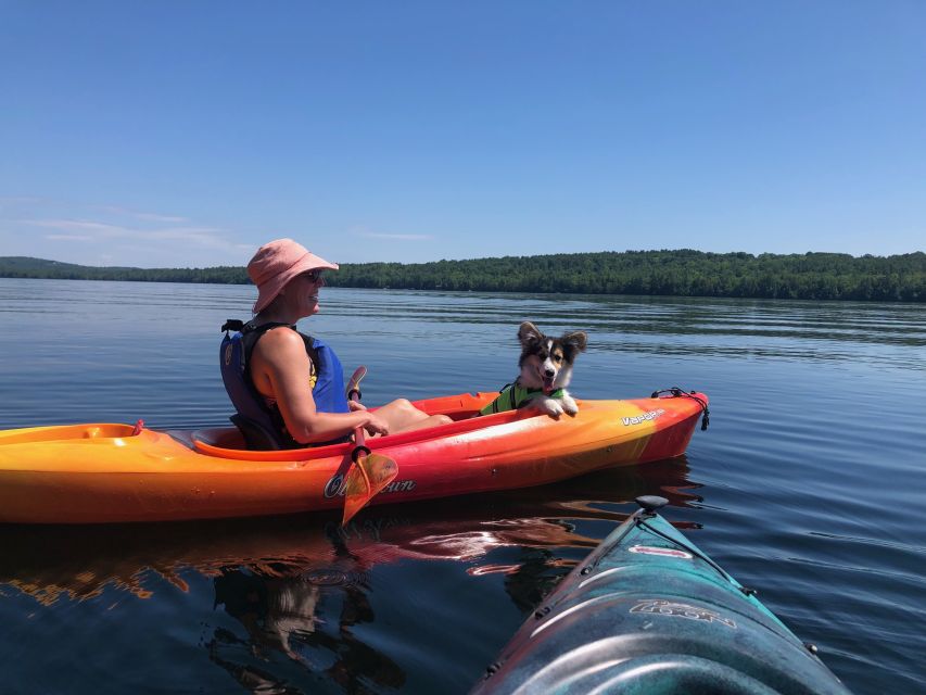 Sebago Lake: Half-Day Kayak Rental - Final Thoughts: Who Will Love This Experience?  