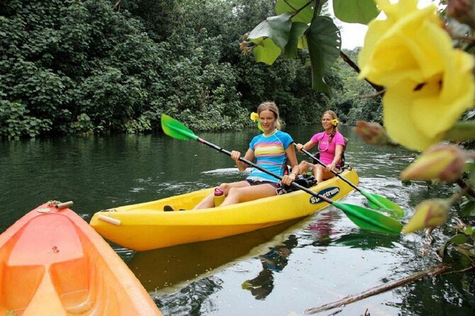 Secret Falls Kayak and Hike in Kauai - Why This Tour Offers Excellent Value