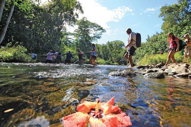 Secret Falls Kayak and Hike in Kauai - Who Should Book This Tour?