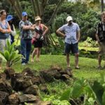 Secret Oahu Hawaii Culture Tour With A Local Guide - In-Depth Breakdown of the Itinerary