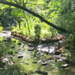Secret Places of Central Park - What the Reviews Tell Us