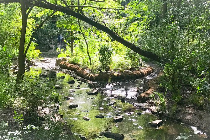 Secret Places of Central Park - What the Reviews Tell Us