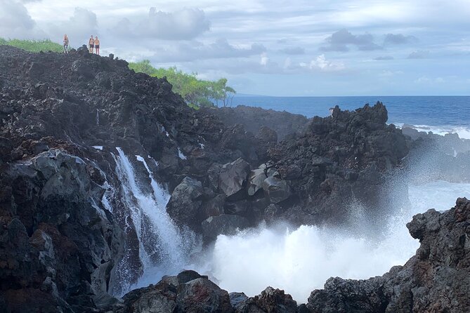 Secret Tide Pool Hike - Jungle & Coast - Private - Who Will Love This Tour?