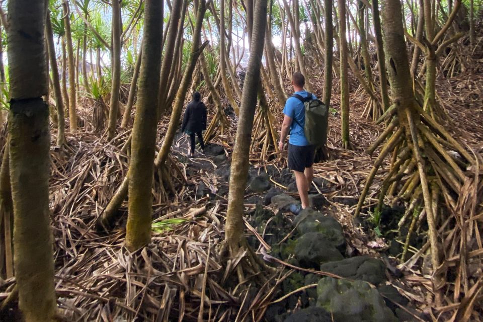 Secret Tide Pool Hike - Jungle & Coast - Private - What Do Reviewers Say?