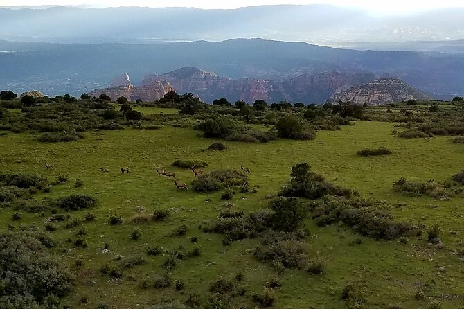 Secret Wilderness (45+ Mile) - Sedona Helicopter Tour - The Sum Up