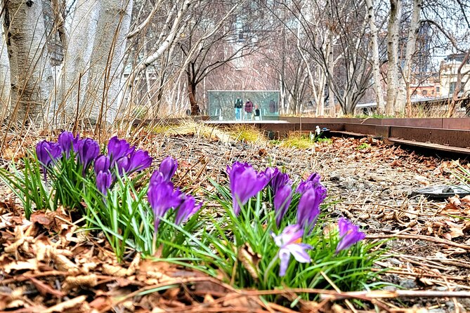 Secrets of the High Line - A Closer Look at the Itinerary