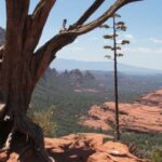 Sedona: PRIVATE 2-Hour Colorado Plateau Scenic Jeep Tour - Who Is This Tour Best For?