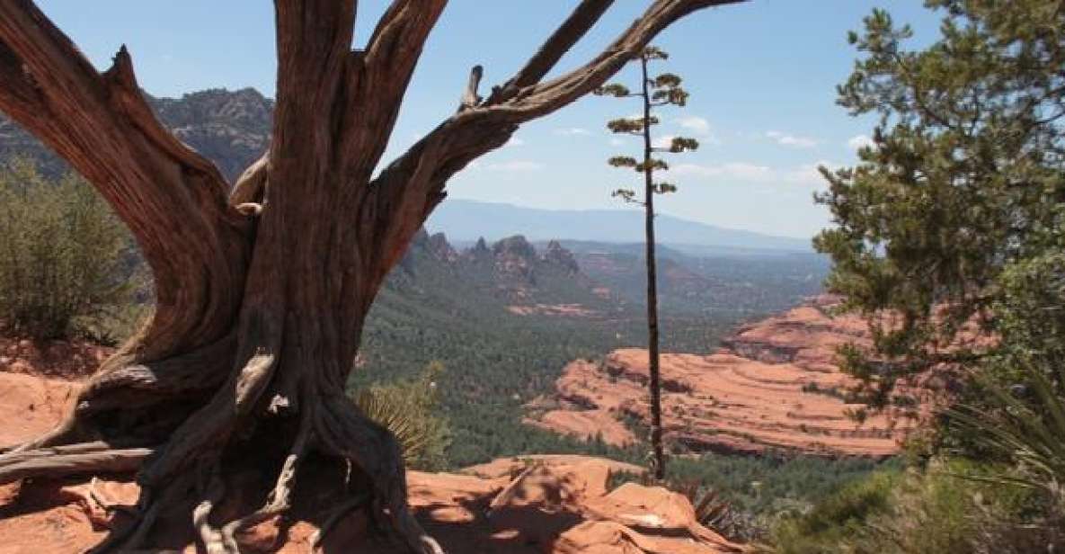 Sedona: PRIVATE 2-Hour Colorado Plateau Scenic Jeep Tour - Who Is This Tour Best For?