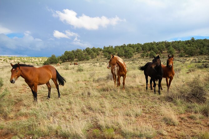 Sedona Private Custom Tour - Exploring Sedona’s Red Rock Country with a Private Custom Tour