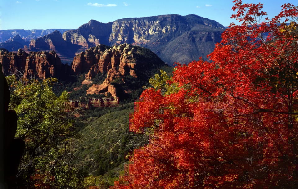 Sedona: PRIVATE Pavement 2-Hour Highlights Jeep Tour - Who Will Love This Tour