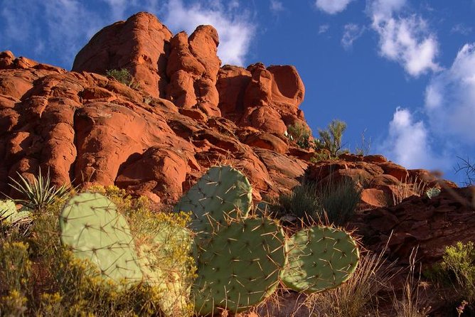 Sedona Red Rocks Outback Tour: Scenic with mild off-roading - Exploring the Sedona Red Rocks Outback Tour in Detail