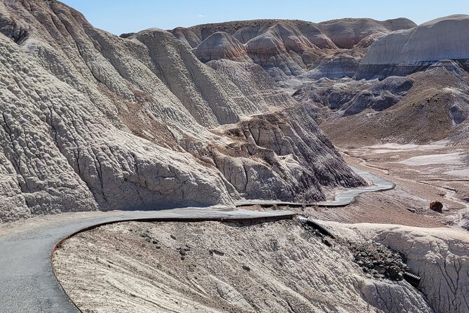 Sedona to Petrified Forest/Painted Desert Adventure PRIVATE TOUR! - The Experience: Who Will Love This Tour?