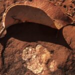 Sedona: Vortex Yoga Hiking Half-Day - The Itinerary in Detail