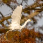 See the real Florida with a Private Nature and Wildlife Boat Tour - Exploring the Tour Experience