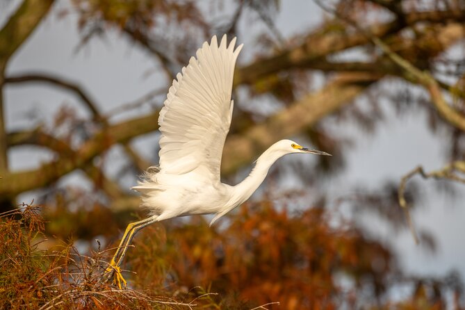 See the real Florida with a Private Nature and Wildlife Boat Tour - Exploring the Tour Experience