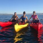 Segway Tours - Why a Segway Tour in Newport Beach Is Worth Considering