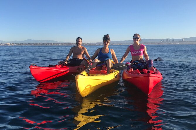 Segway Tours - Why a Segway Tour in Newport Beach Is Worth Considering