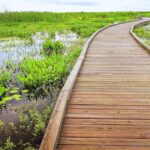 Self-Guided Audio Driving Tour in Creole Nature Trail - Who Should Consider This Tour?