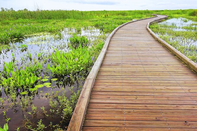 Self-Guided Audio Driving Tour in Creole Nature Trail - Who Should Consider This Tour?