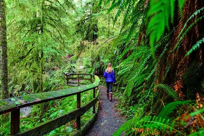 Self-Guided Audio Driving Tour in Olympic National Park - Who Is This Tour Best For?