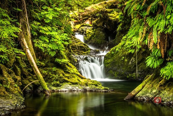 Self-Guided Audio Driving Tour in Olympic National Park - Final Thoughts