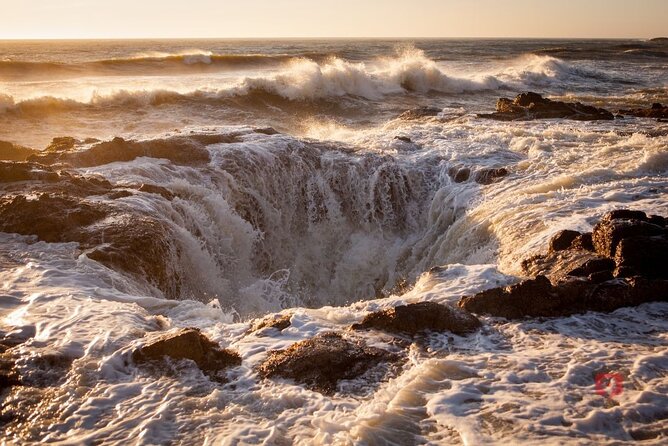 Self-Guided Audio Driving Tour in Oregon Coast - Considerations and Potential Drawbacks