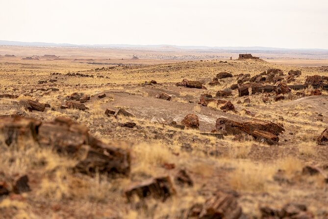 Self-Guided Audio Driving Tour in Petrified Forest National Park - FAQ