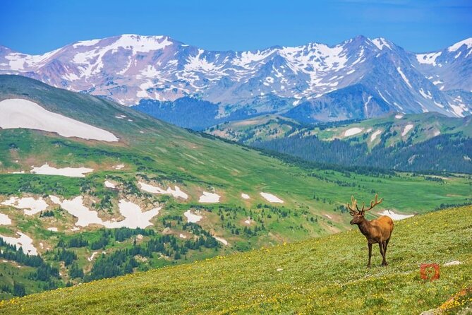 Self-Guided Audio Driving Tour in Rocky Mountain National Park - Frequently Asked Questions