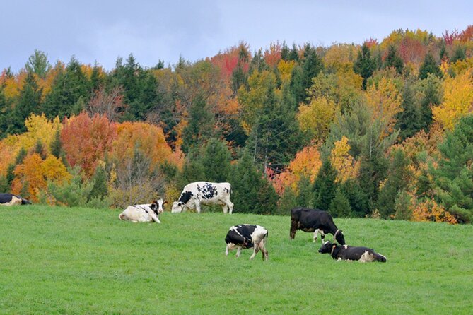 Self-Guided Audio Driving Tour of Vermont, RT100 Scenic Byway - Frequently Asked Questions