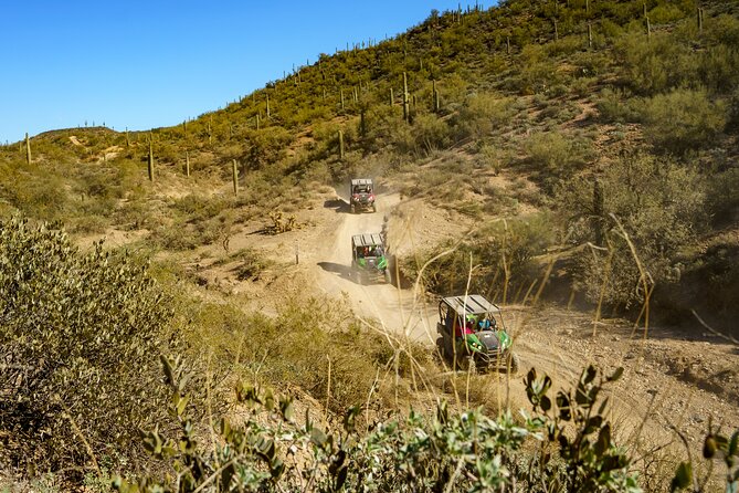 Self-Guided Centipede Desert UTV Rental - Authentic Insights from Reviewers