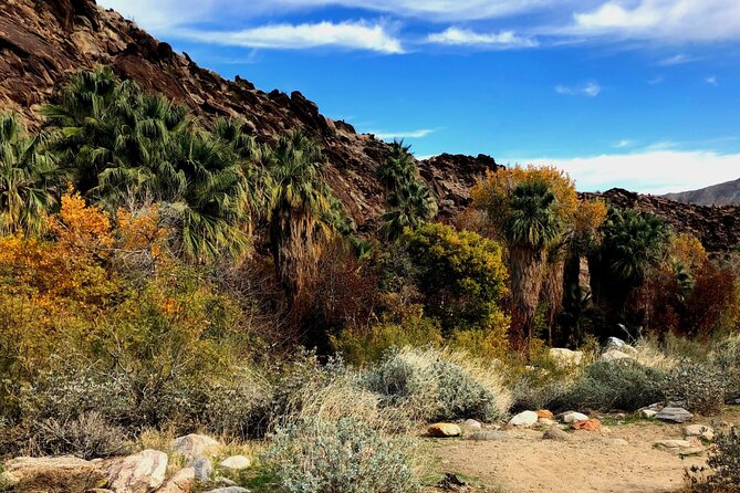 Self Guided Driving Audio Tour of Palm Springs - Who Will Love This Tour?