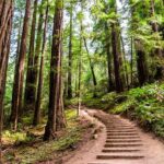 Self Guided Driving Audio Tour of Redwood National and State Park - Why This Tour Offers Great Value