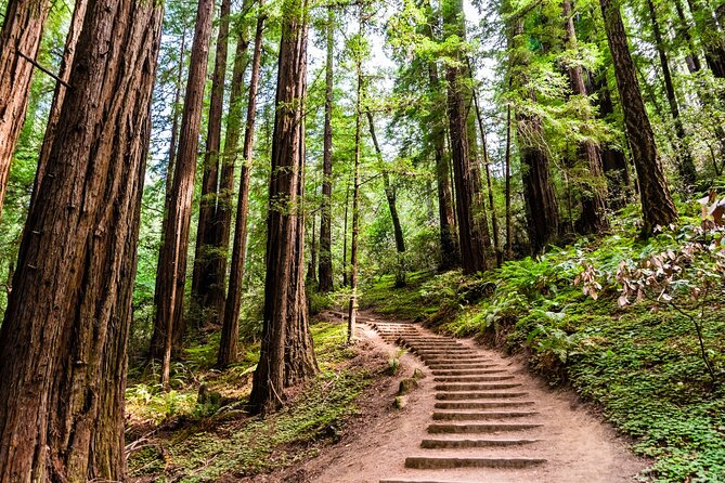 Self Guided Driving Audio Tour of Redwood National and State Park - Why This Tour Offers Great Value