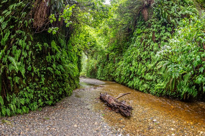Self Guided Driving Audio Tour of Redwood National and State Park - FAQs