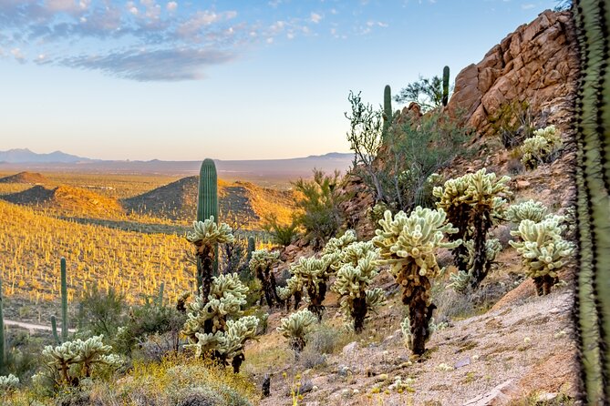 Self Guided Driving Audio Tour of Saguaro National Park - A Practical Guide to the Self-Guided Tour