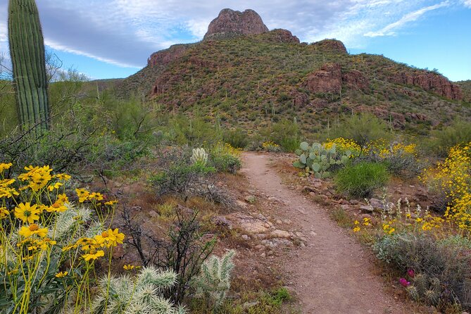 Self Guided Driving Audio Tour of Saguaro National Park - Why This Tour Might Be Worth It