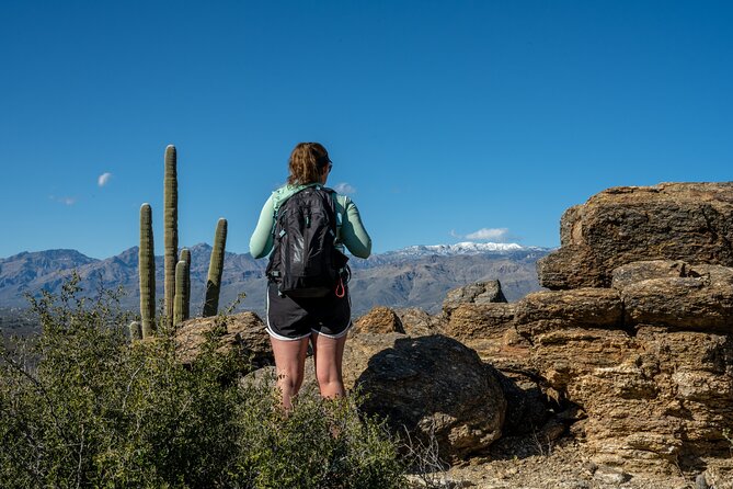 Self Guided Driving Audio Tour of Saguaro National Park - Who Will Love This Tour?