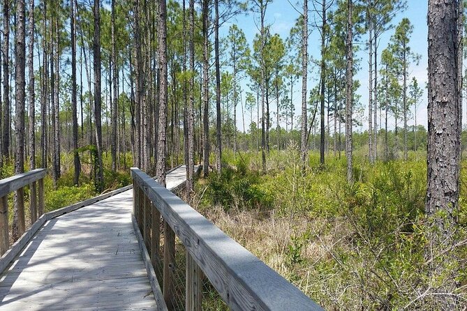 Self Guided E-Bike Tour of Panama City Beach - The Sum Up
