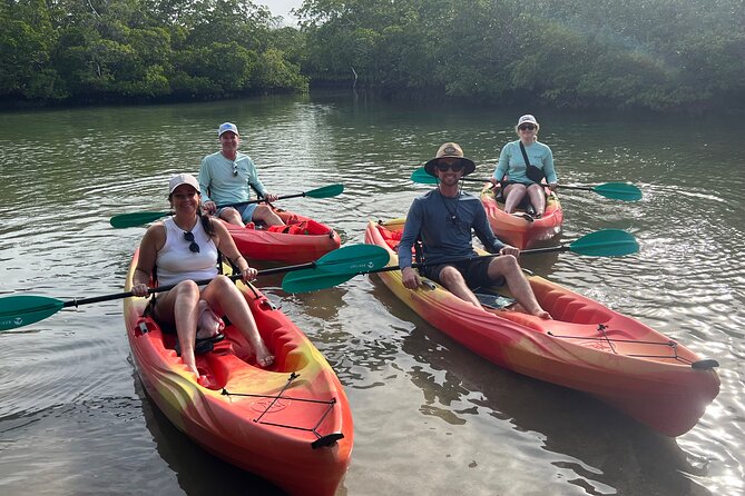 Self Guided EcoTour: Clear/Standard Kayaks -Bonita Springs - Why You’ll Love This Kayak Tour  