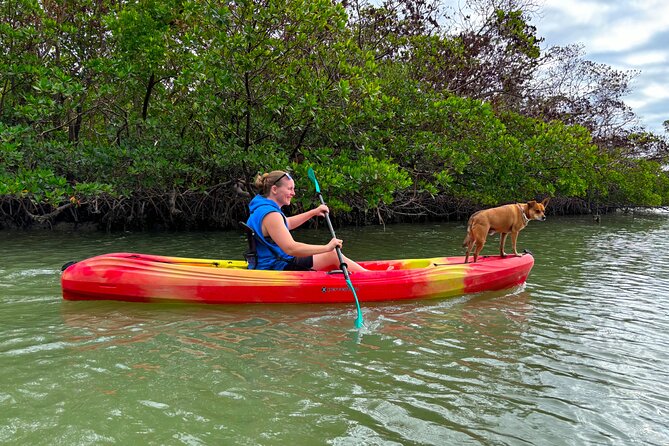 Self Guided EcoTour: Clear/Standard Kayaks -Bonita Springs - Who Will Love This Experience?  