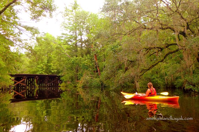Self Guided Family Friendly Kayak Rental Experience Old Florida - What Is the Kayak Rental Experience About?