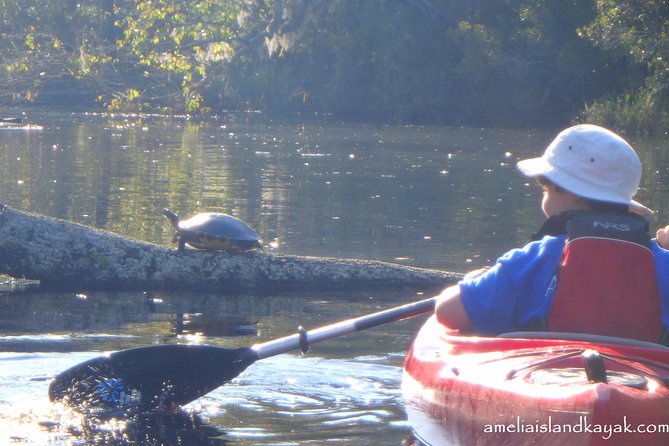 Self Guided Family Friendly Kayak Rental Experience Old Florida - Guides and Support